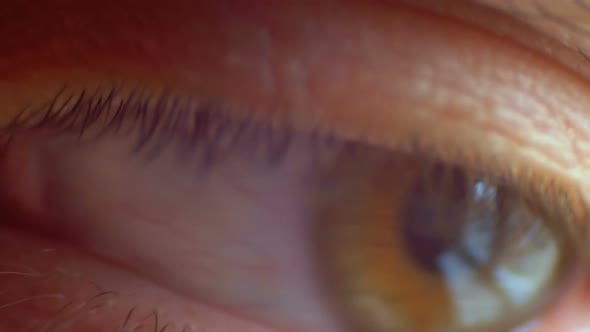 Extreme Close-up Male Human Eye Blinking, Stock Footage | VideoHive