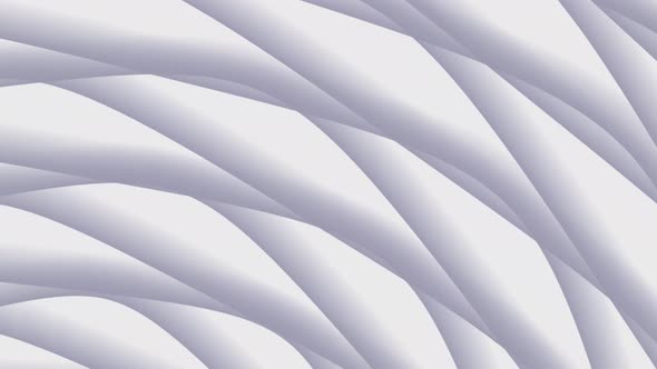 White Background, Motion Graphics | VideoHive
