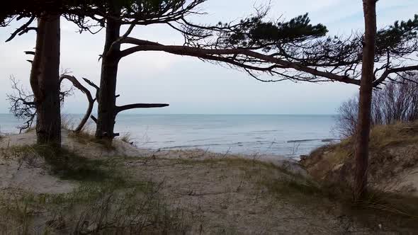 Aerial view of Baltic sea coastline at Bernati beach in Latvia, flying ...