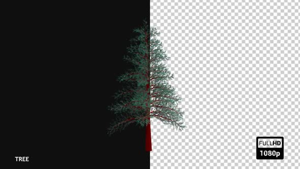 Tree Rotate, Motion Graphics | VideoHive