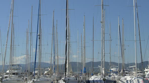 Tilt up of sailboats and masts in a port , Stock Footage | VideoHive