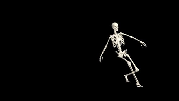Skeleton 3D Dance., Motion Graphics | VideoHive