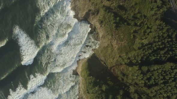 Static aerial of forest and ocean meeting with ocean waves, looking ...