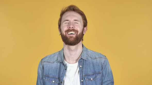 Laughing Happy Redhead Man Yellow Background, Stock Footage | VideoHive
