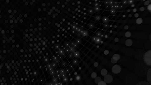 Grid Dof, Motion Graphics | VideoHive