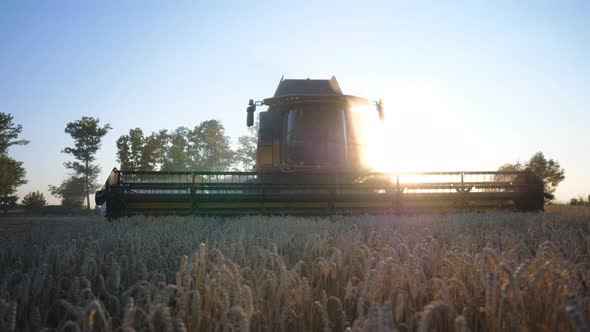 Grain Harvester Gathering Wheat at Sunset, Stock Footage | VideoHive