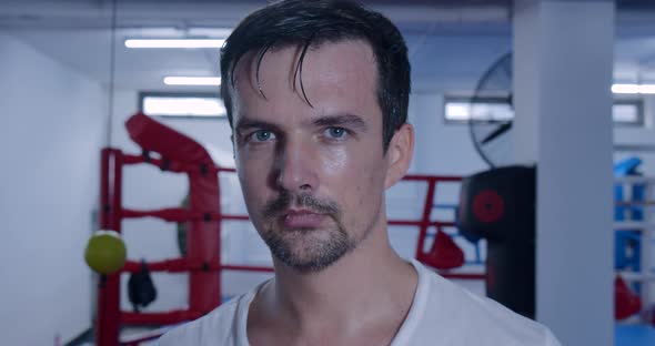 Portrait Sportsman Boxer of a Focused Caucasianeuropean Male Boxer ...