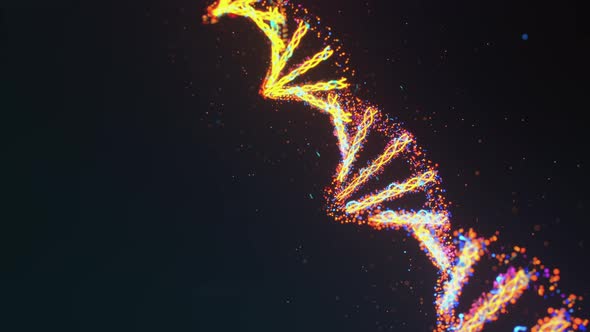 Formation of DNA Molecule, Motion Graphics | VideoHive