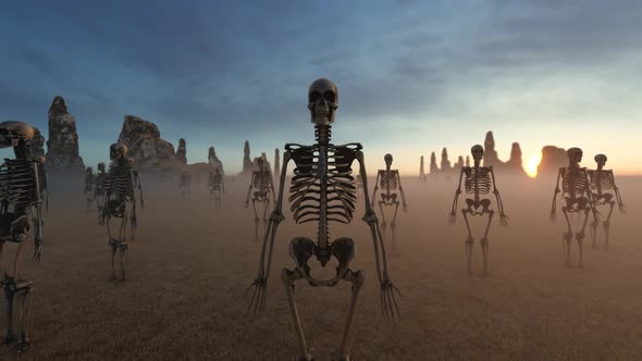 Skeleton Army, Motion Graphics | VideoHive