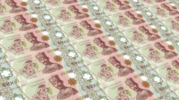 Brunei Money / 1000 Brunei Dollar 4K, Motion Graphics | VideoHive