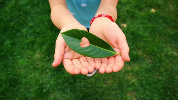 Tree Children Protect Nature with Love, Stock Footage | VideoHive