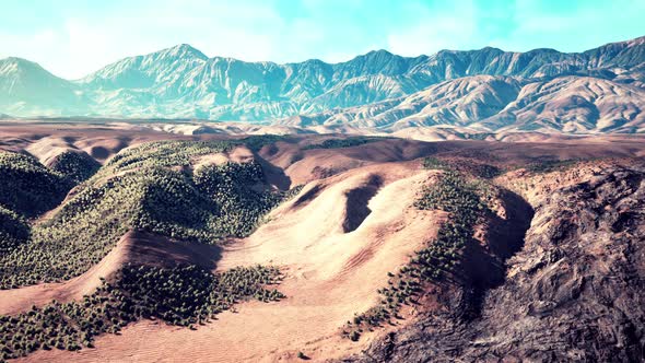 Wide View of California Desert, Motion Graphics | VideoHive