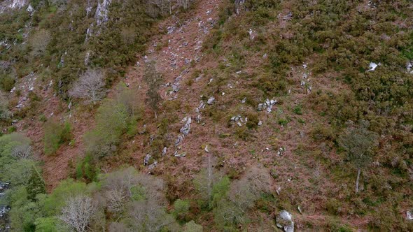Cliffside in the valley full of vegetation at the beginning of spring ...