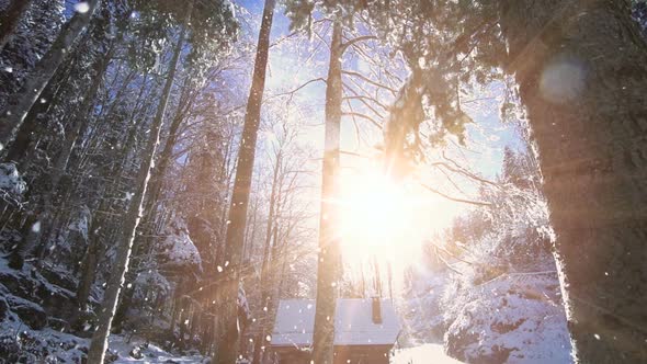 Winter Weather Season Background of Snow Falling Nature Scenery, Stock ...