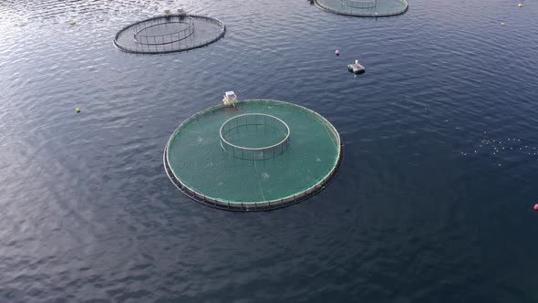 An Aquaculture Fish Farm Pen Used to Hold Fish Stocks for Food, Stock ...