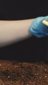 Plant Cultivation Hands Planting Sapling Vertical, Stock Footage ...
