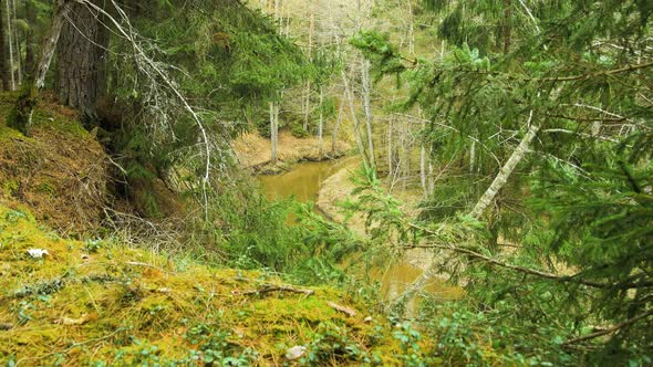 Establishing shot of Riva river valley (Latvia) in sunny spring day ...