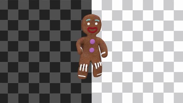 Cookie Dance Loop by andrey3dp | VideoHive