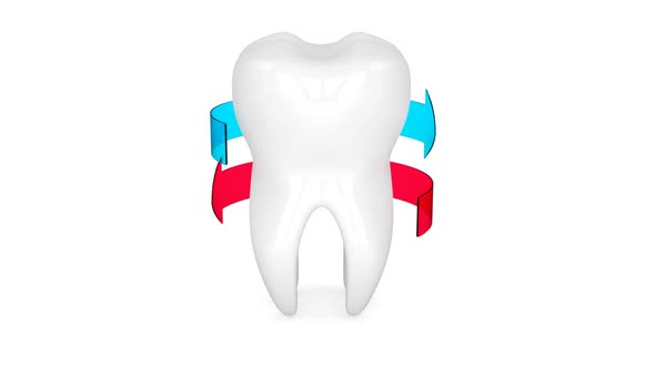 Seamless looping animation of tooth with rotating arrows, Motion Graphics