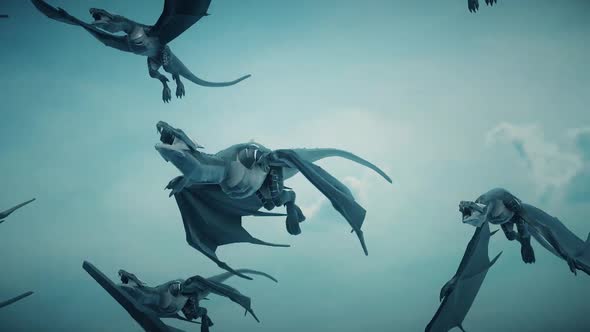 Flying Wyvern Dragons In Air Hd, Motion Graphics | VideoHive