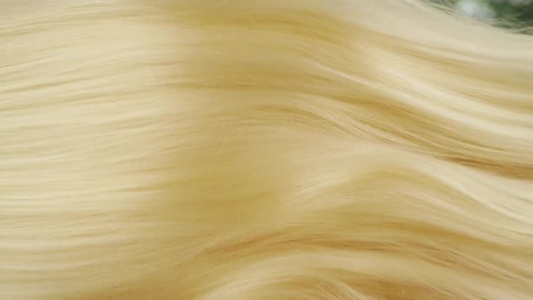 Slow motion close-up woman's healthy blond long smooth straight hair ...