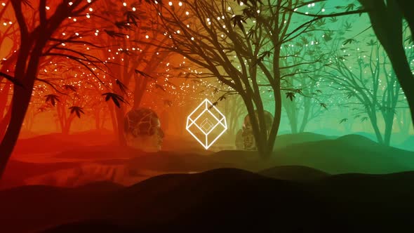 Jungle Fantasy, Motion Graphics | VideoHive