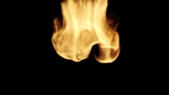 Fire Rain Logo by daonguyen204 | VideoHive