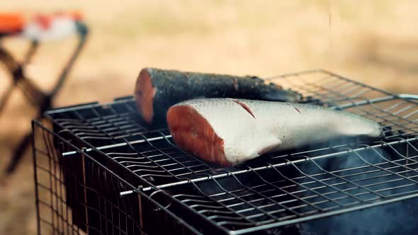 Chef Seasoning Spice Fish.Fried Salmon Fish With Spices.Slow Motion ...