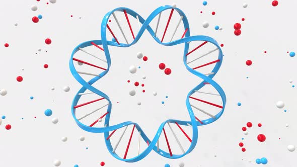 Circular DNA Double Helix, Motion Graphics | VideoHive