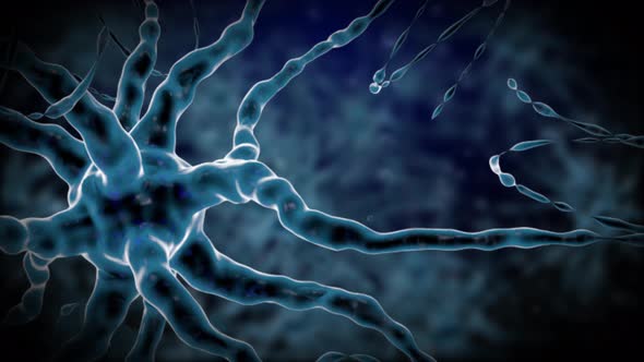 Moving Viruses, Motion Graphics | VideoHive