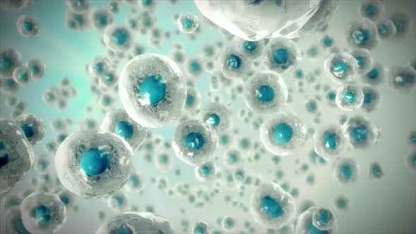 The cell's reaction and change, Motion Graphics | VideoHive