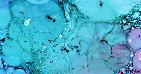 Colorful Abstract Motion 4K, Motion Graphics | VideoHive