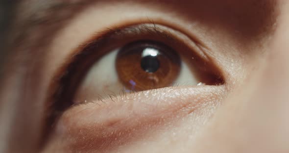 Japanese Asian Man Eyes Closeup Detail Macro Shot Portrait Macro of Man ...