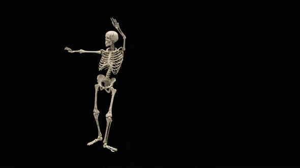 32 Ghost Halloween Dancing HD, Motion Graphics | VideoHive