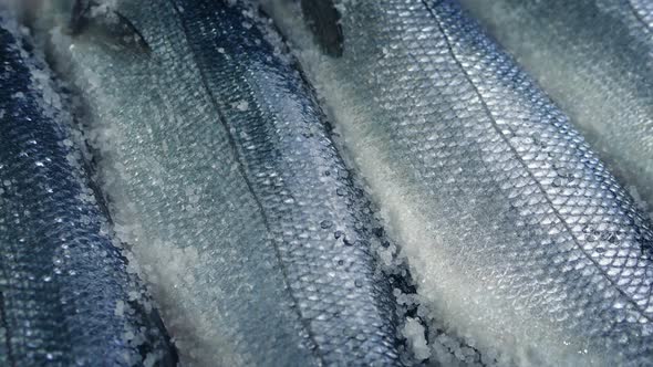 Moving Over Fish Packed In Ice, Stock Footage | VideoHive