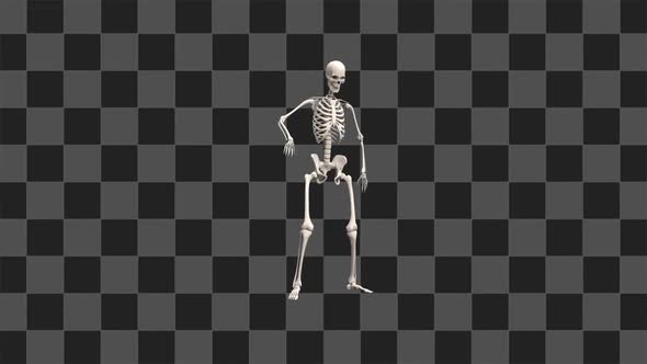 Dancing Skeleton Loop, Motion Graphics | VideoHive