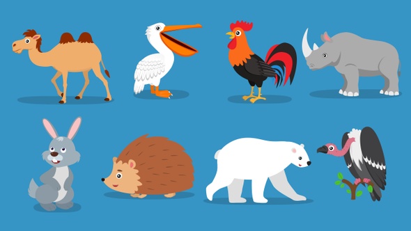 Cartoon Animals 5, Motion Graphics | VideoHive