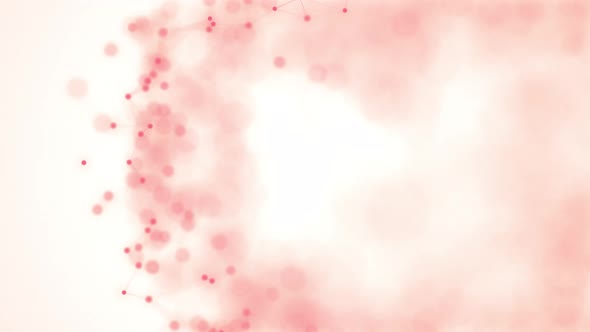 Abstract Pink Plexus network, Motion Graphics | VideoHive