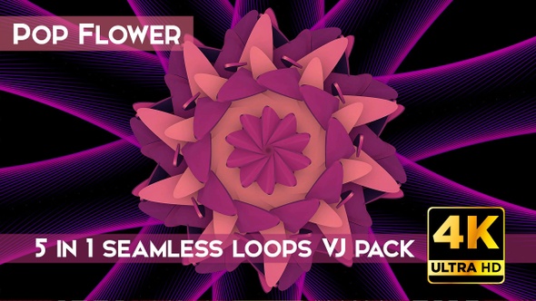Pop Flower VJ Loops, Motion Graphics | VideoHive