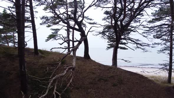 Aerial view of Baltic sea coastline at Bernati beach in Latvia, flying ...