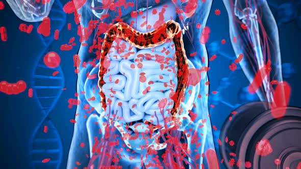 Abstract animation of the Gut Microbiome, Motion Graphics | VideoHive