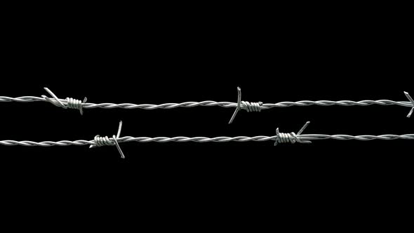 Barbed Wire Moving Shot, Stock Footage | VideoHive