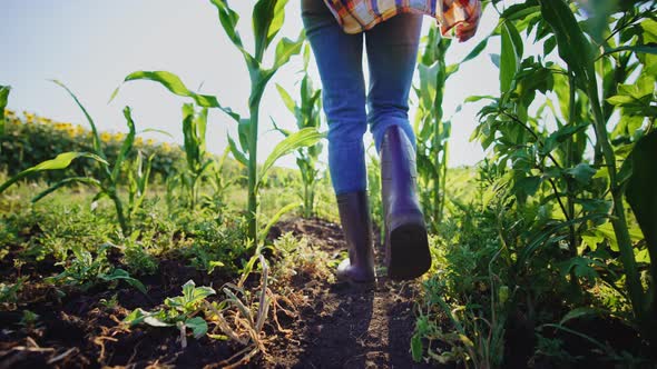 Close Up of Farmer's Feet in Boots Walking Along Land Road in ...