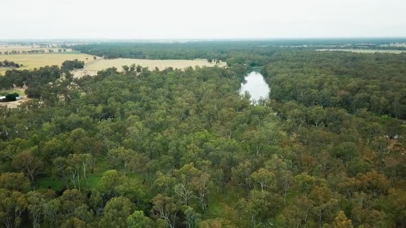 Aerial footage of the Murray River, eucalypt forest and surrounding ...