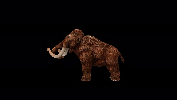 Mammoth Eat, Motion Graphics | VideoHive