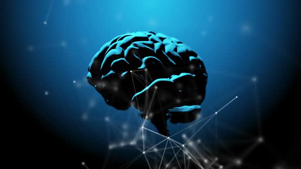Human brain revolving, illuminated from above, Motion Graphics | VideoHive