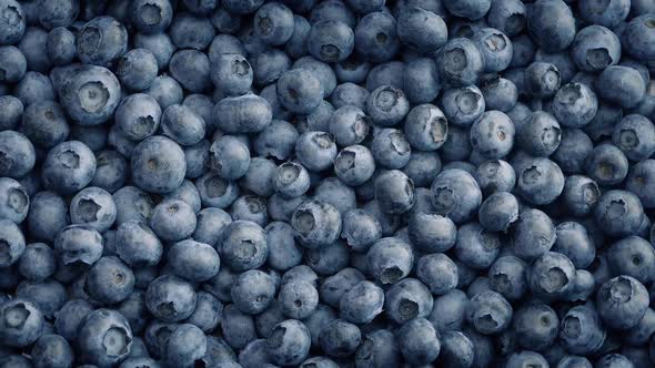 Blueberry Pile Turning Slowly, Stock Footage | VideoHive