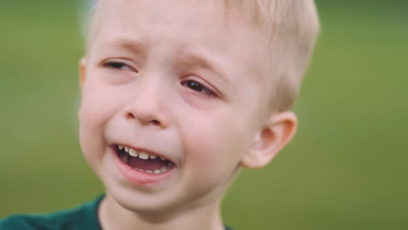 Portrait of a Crying Little Boy, Stock Footage | VideoHive