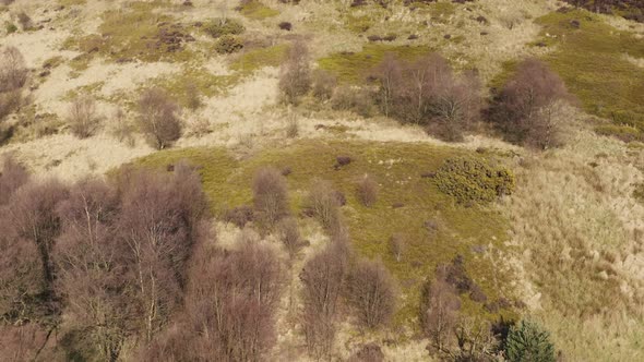 Aerial view of English moorland and woodland, Stock Footage | VideoHive