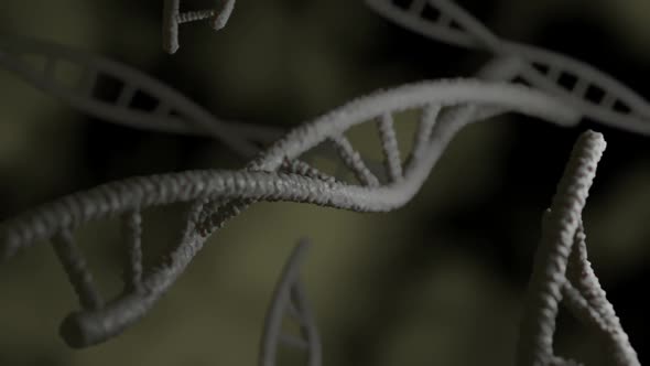 DNA, Motion Graphics | VideoHive
